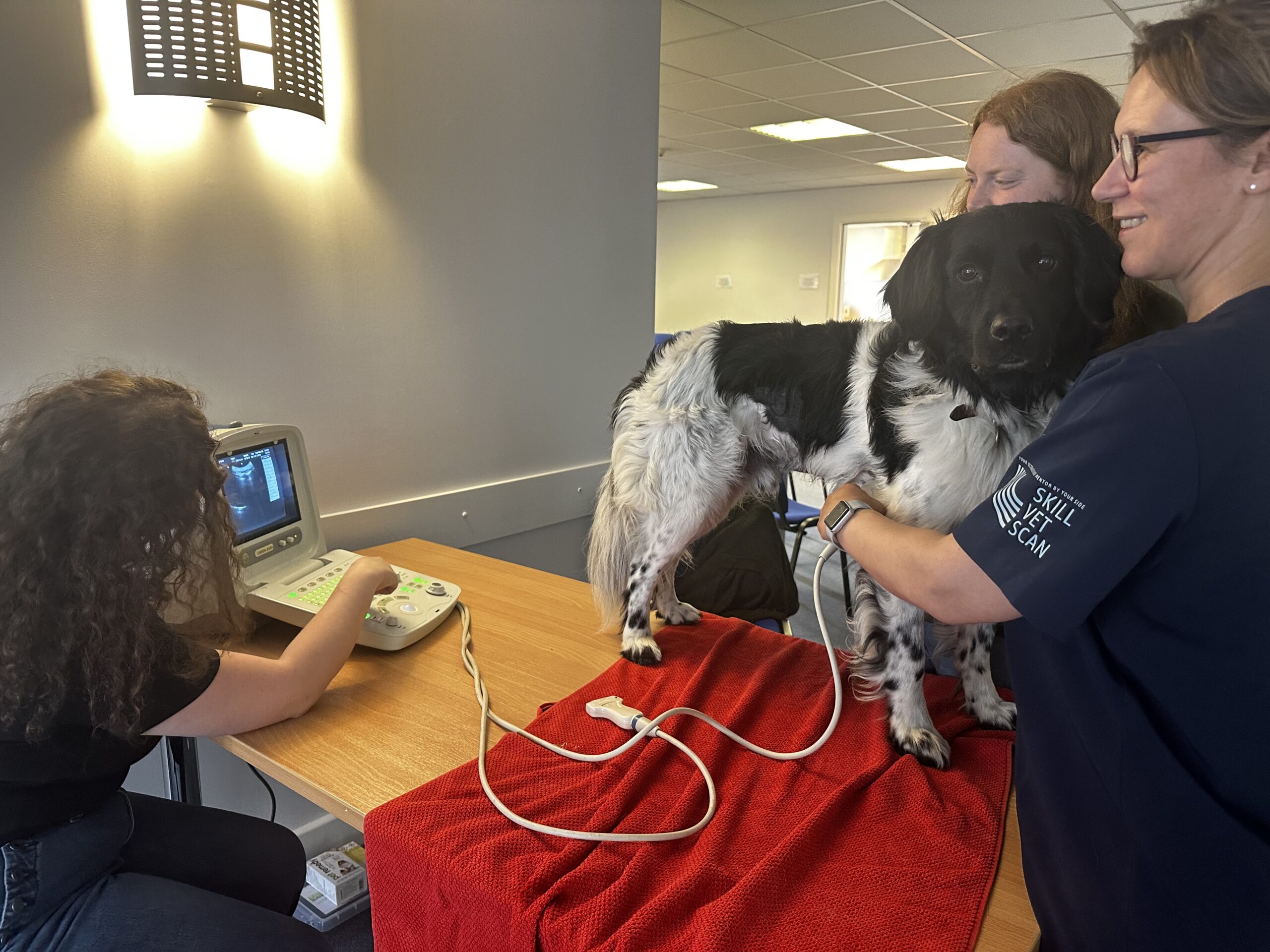 Leading CPD for Vets & Nurses | Online & In-House CPD